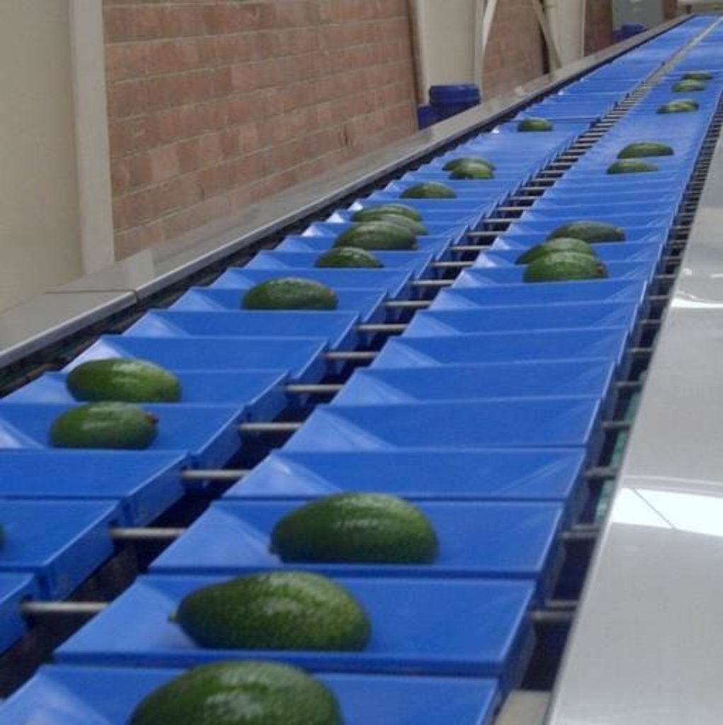 Eshet Eilon Eshet Eilon-Technologies for Sorting Agricultural Products